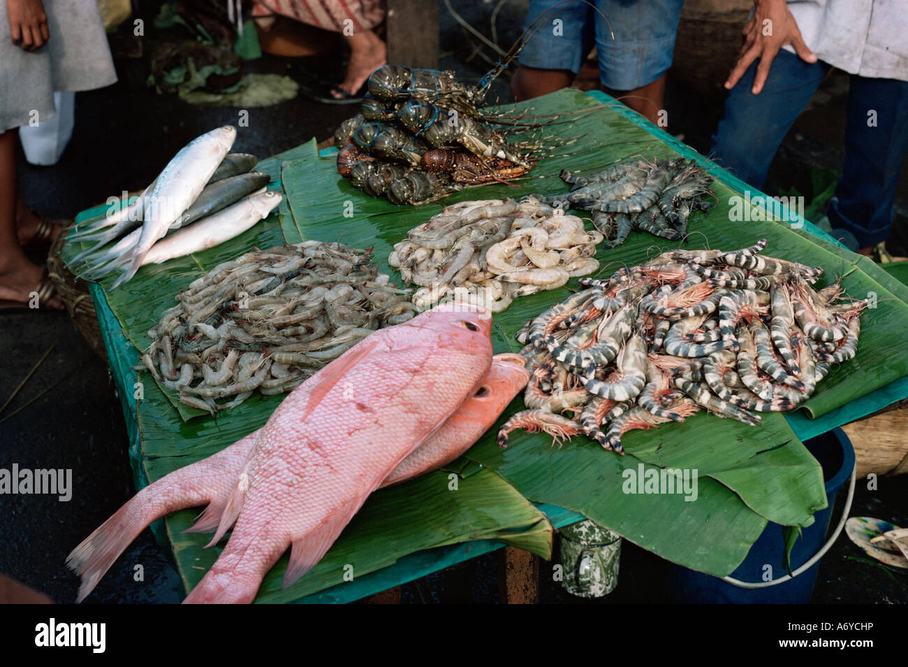 Fish market Jakarta Java Indonesia Southeast Asia Asia Stock Photo - Alamy