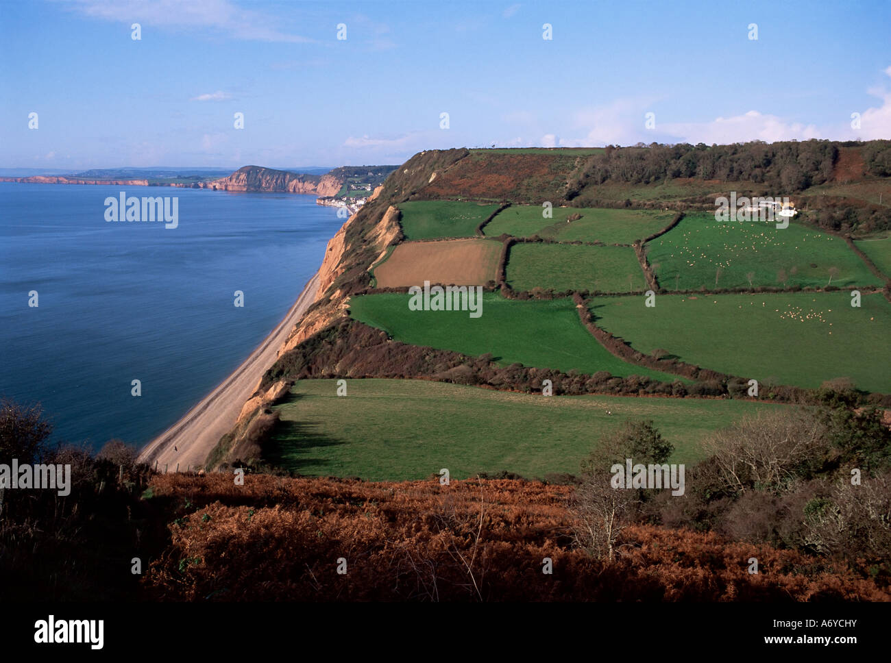 East Devon coast path near Sidmouth Devon England United Kingdom Europe ...