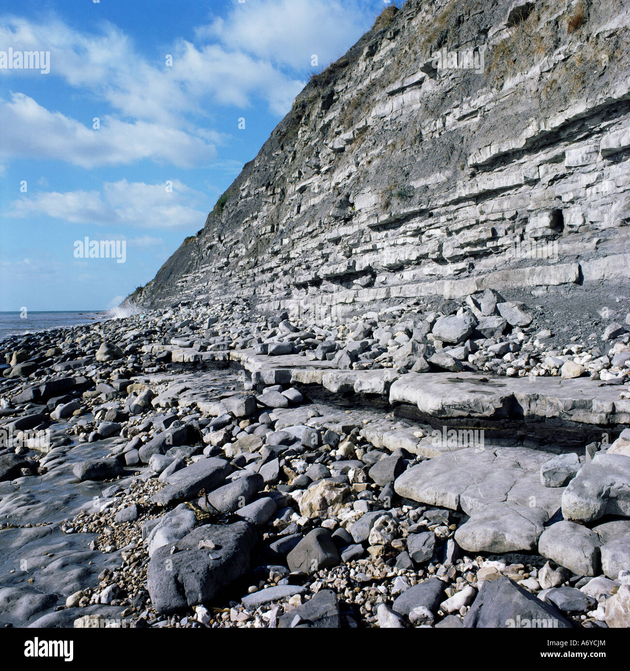 Fossil bearing lias beds Seven Rock Point Jurassic Coast UNESCO World ...