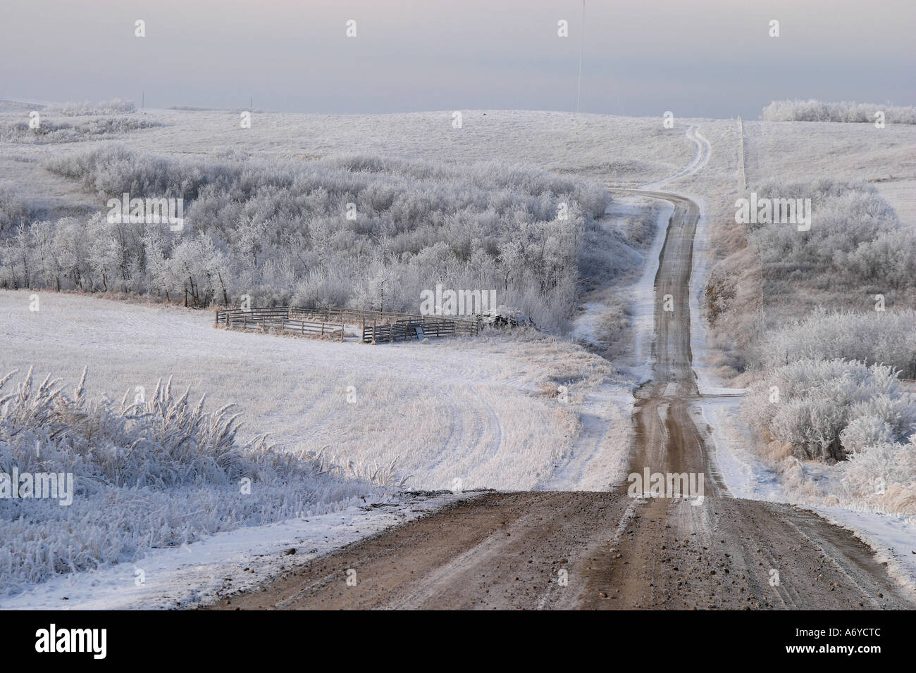 Rural road in frost hi-res stock photography and images - Alamy