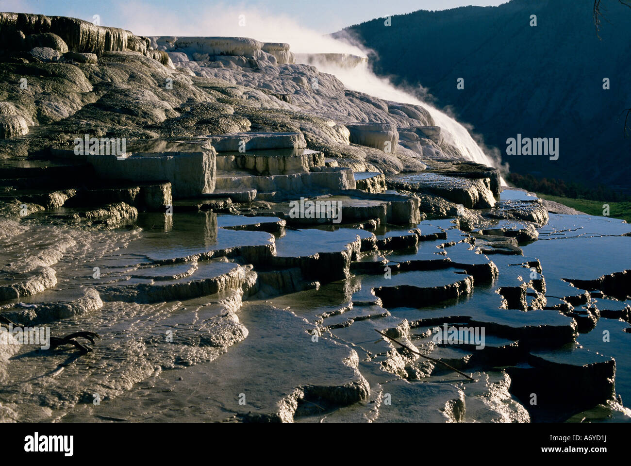Hot water in pools on calcite terraces deposited by Mammoth Hot Springs ...