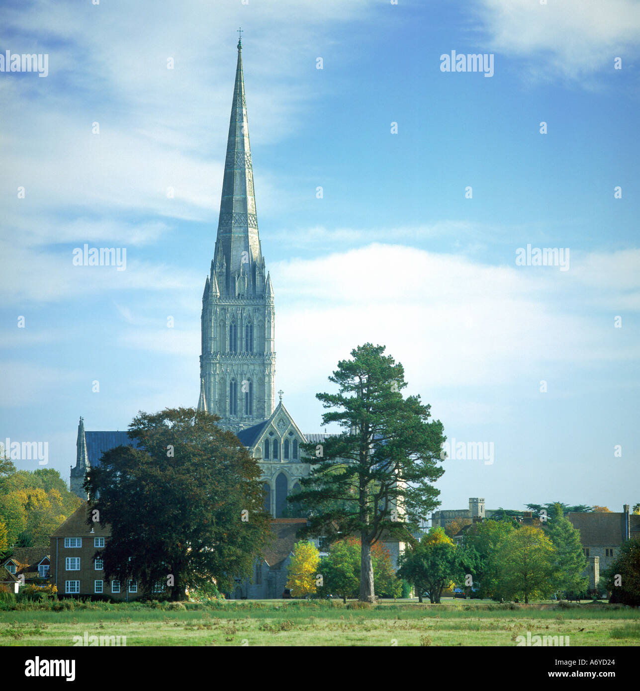 Salisbury Cathedral and autumn trees from the water meadows Wiltshire ...