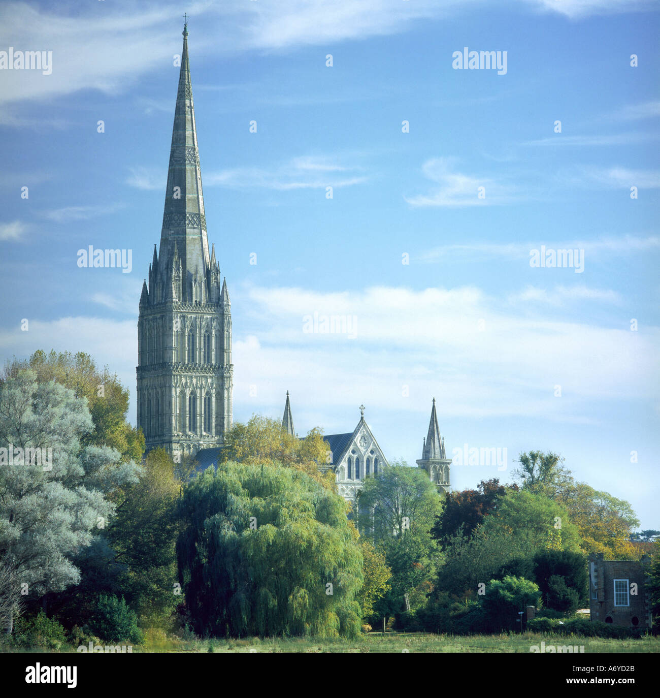 Salisbury Cathedral and autumn trees from the water meadows Wiltshire ...