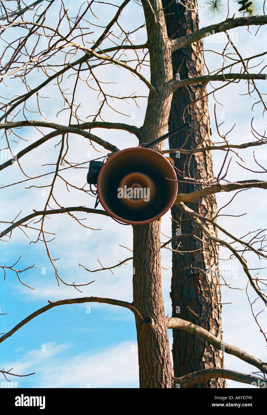 Loudspeaker in a tree Stock Photo - Alamy