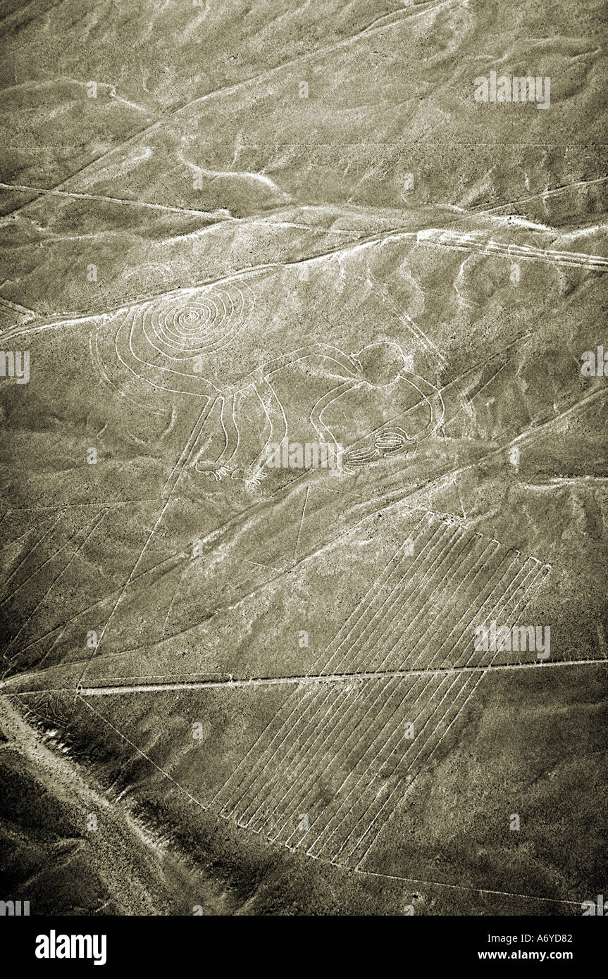 The monkey nazca lines hi-res stock photography and images - Alamy