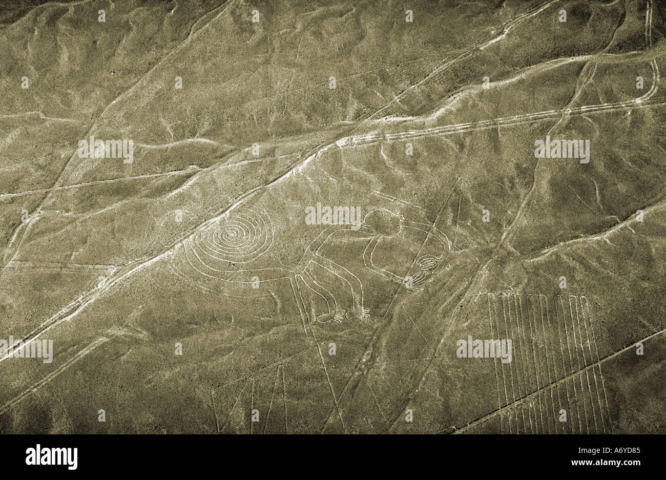 Monkey drawing nazca lines peru hi-res stock photography and images - Alamy