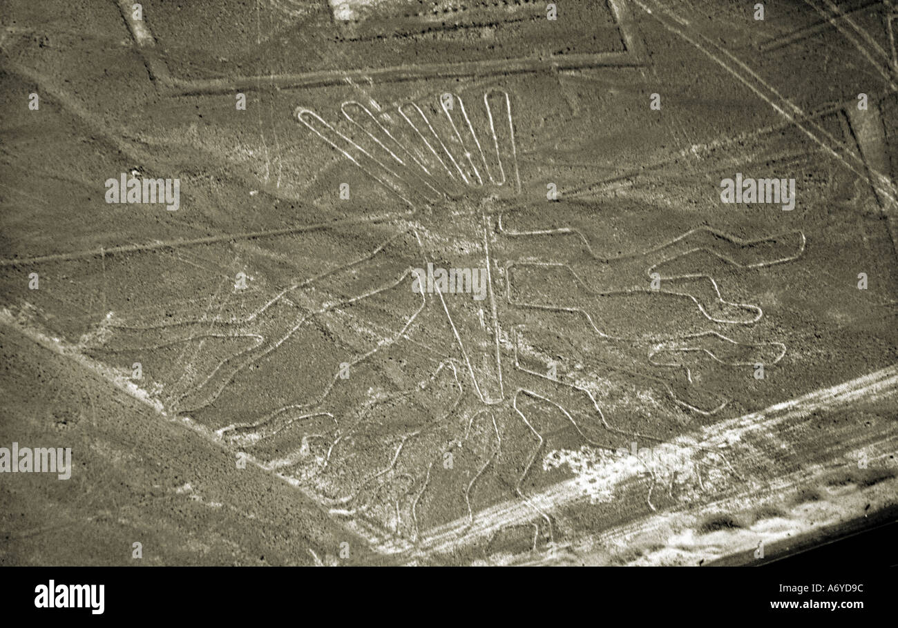 Nasca Lines, Animal Symbol, Peru Stock Photo - Alamy