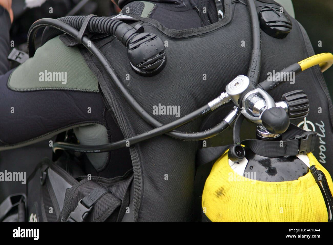 Scuba diving yellow wetsuit hi-res stock photography and images - Alamy