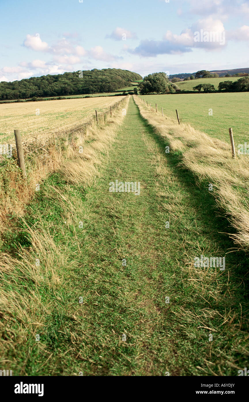 Country path Somerset England United Kingdom Europe Stock Photo - Alamy