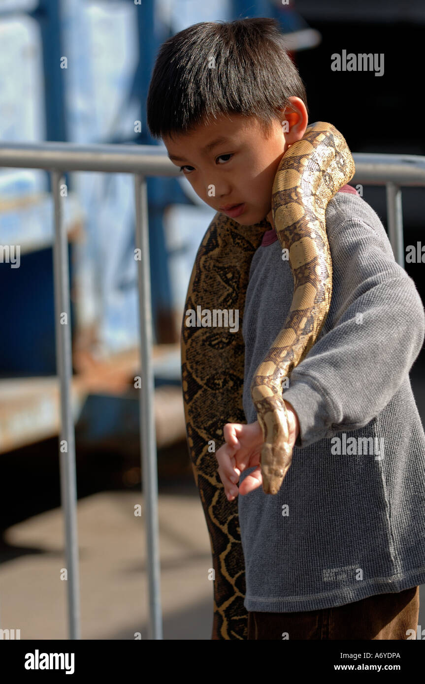 Snake charmer places non-venomous snake on tourists shoulders for photo ...