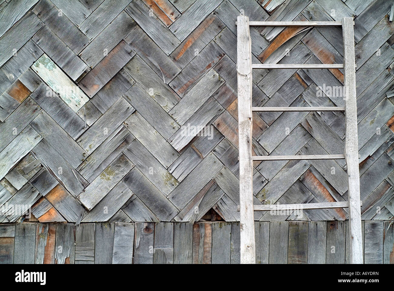 Ladder against a building hi-res stock photography and images - Alamy