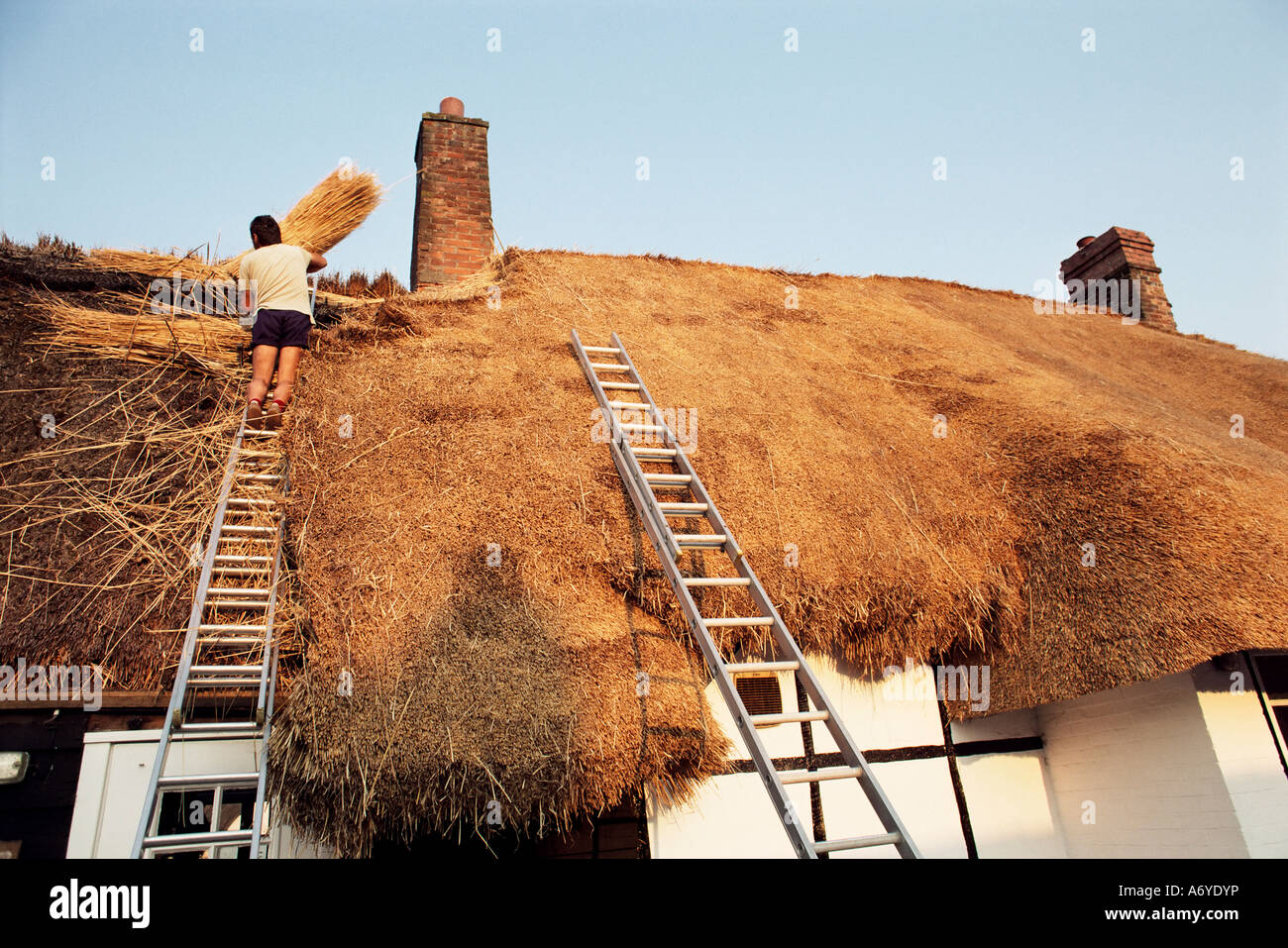 Thatcher at work renewing thatch on cottage England United Kingdom ...