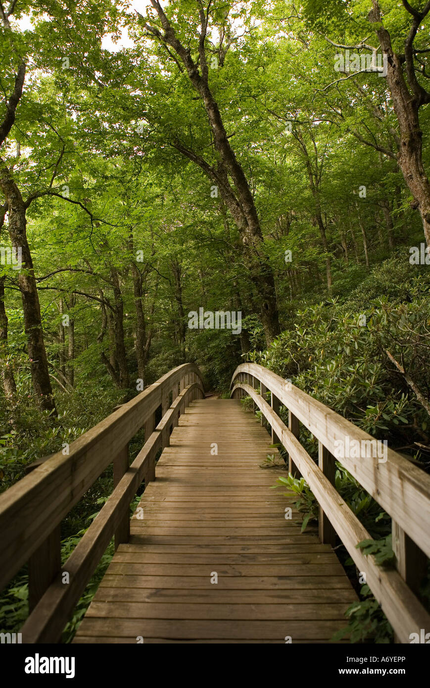 Wooden foot bridge hi-res stock photography and images - Alamy