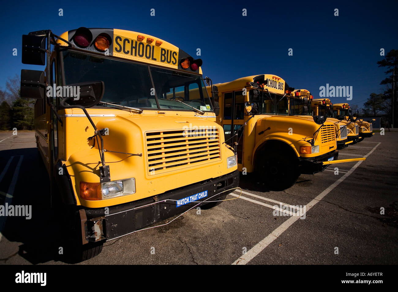A row of school buses Stock Photo - Alamy