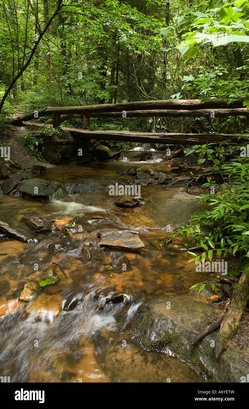 River running through trees Stock Photo - Alamy