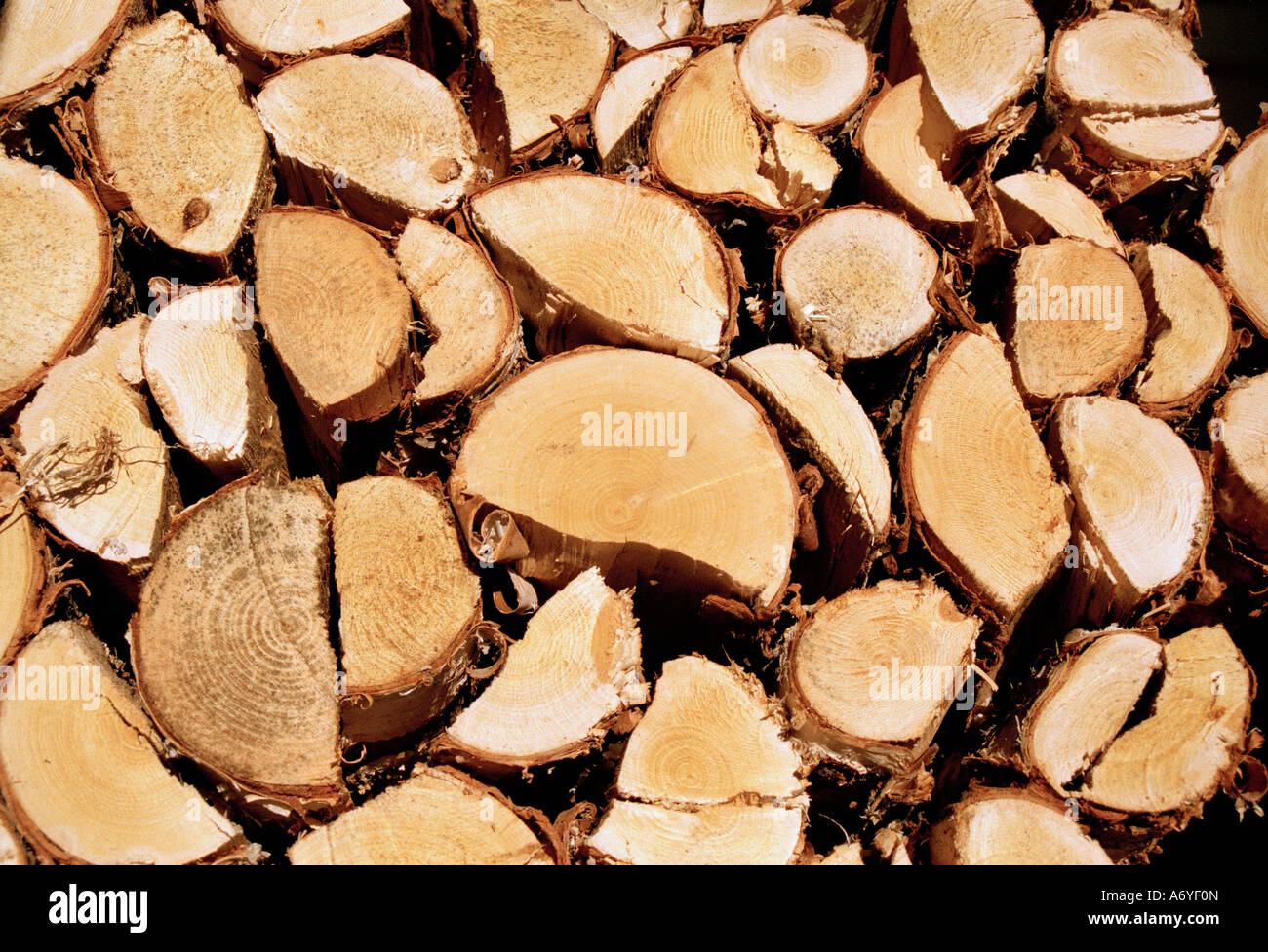 Pile of chopped wood Stock Photo - Alamy