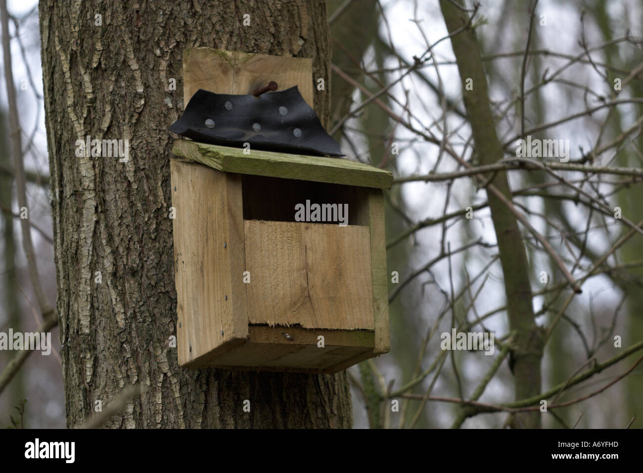 Rspb nest box hi-res stock photography and images - Alamy
