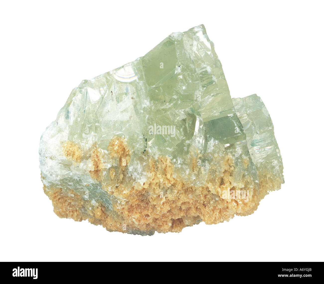 Picture of Jade Stock Photo - Alamy