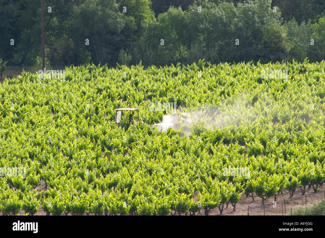 Spraying pesticide vineyard france hi-res stock photography and images ...