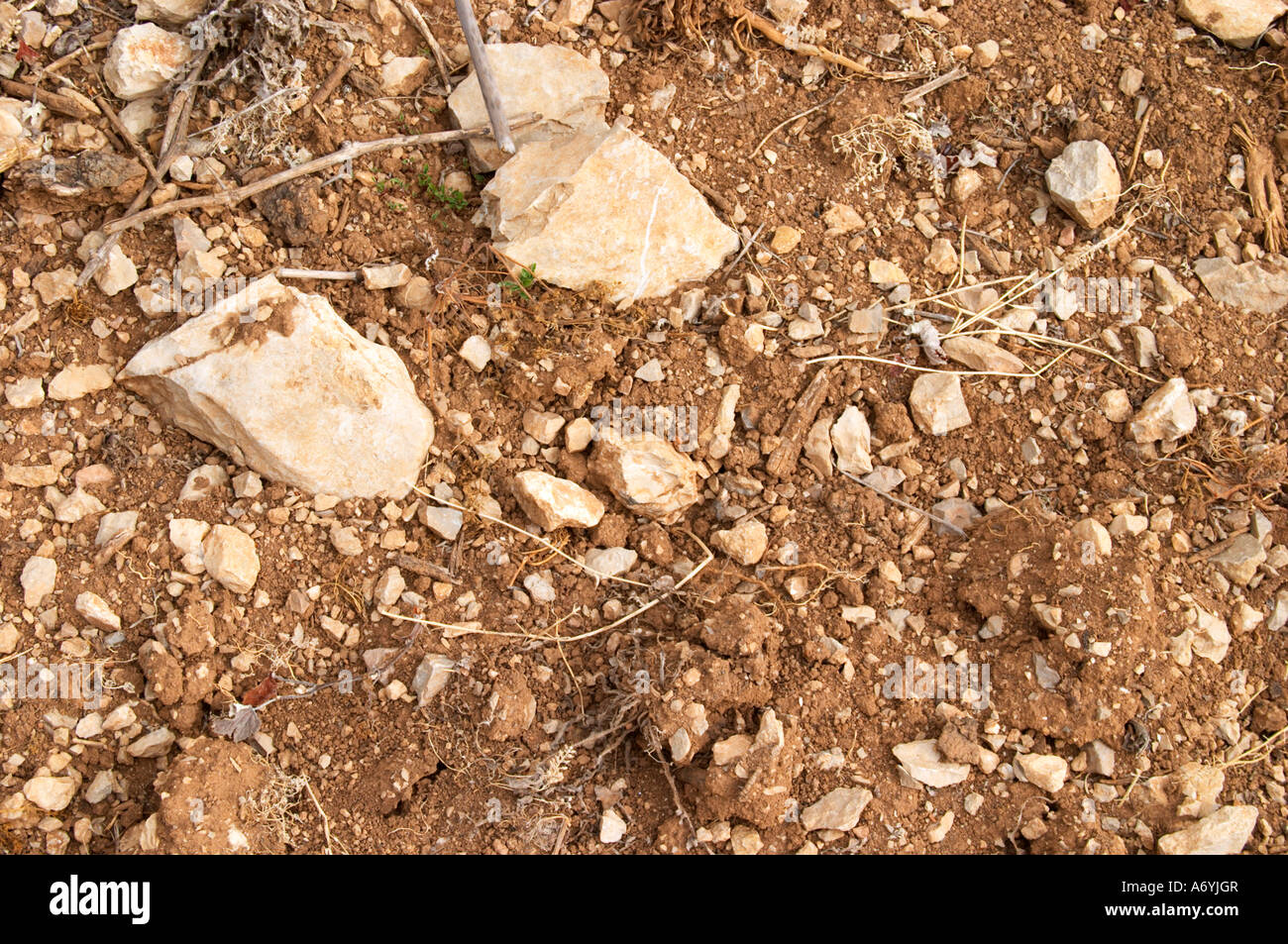 Calcareous sandy soil hi-res stock photography and images - Alamy