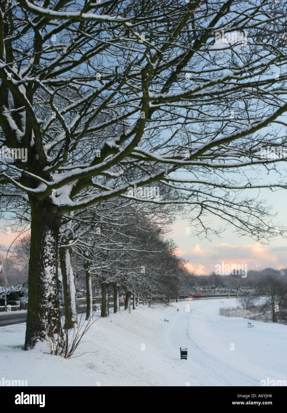 Snow covered winter trees leading into the distance along the River Dee ...