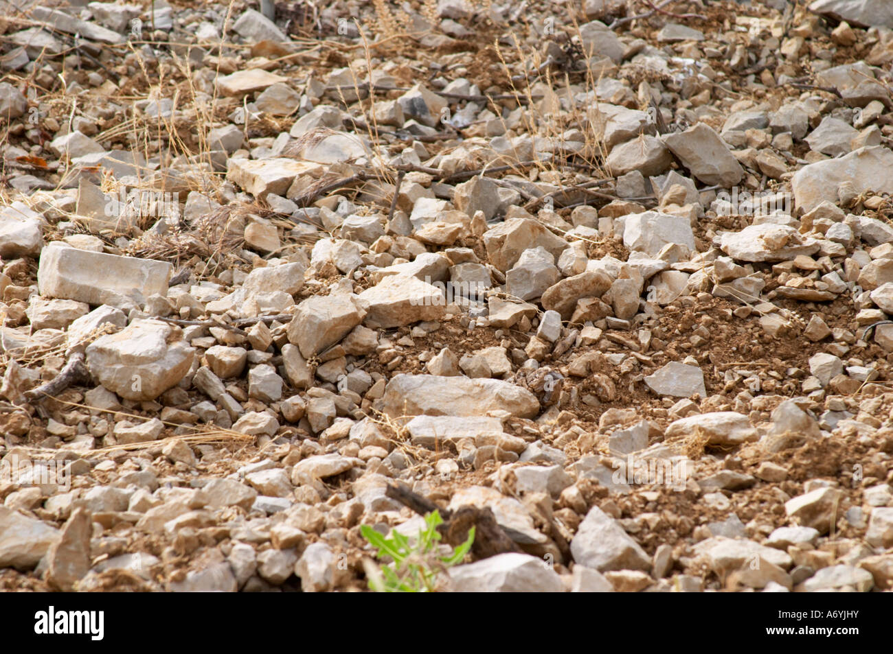 Chateau de Lascaux, Vacquieres village. Pic St Loup. Languedoc. Syrah ...
