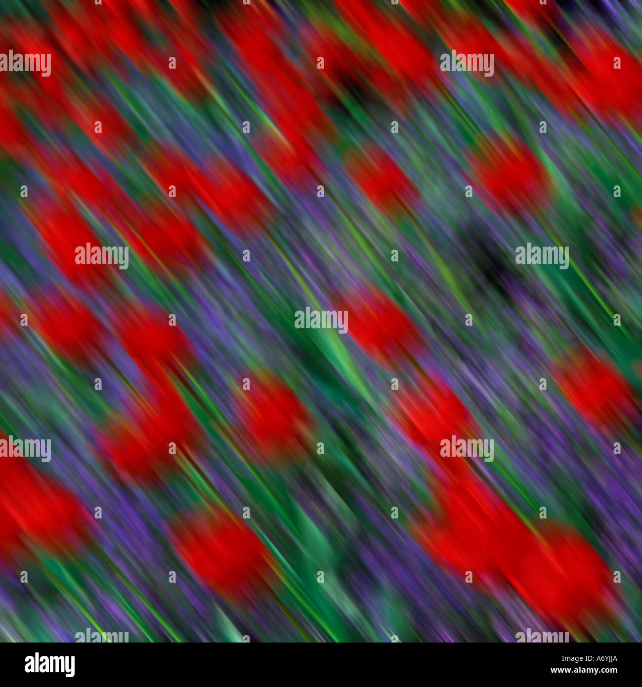 Abstract square format image hi-res stock photography and images - Alamy