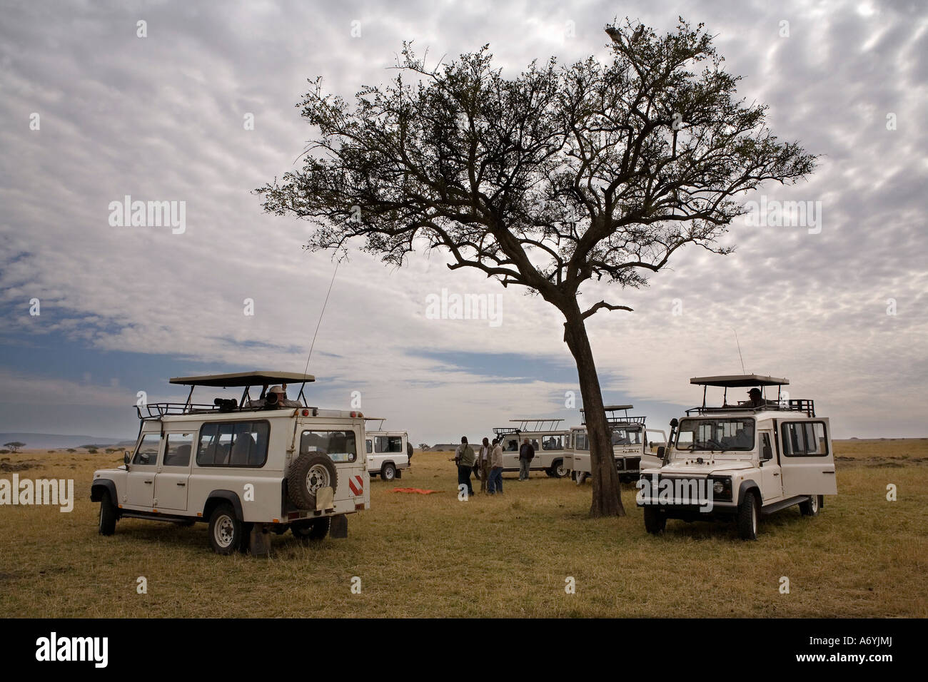 Group off road vehicles hi-res stock photography and images - Alamy