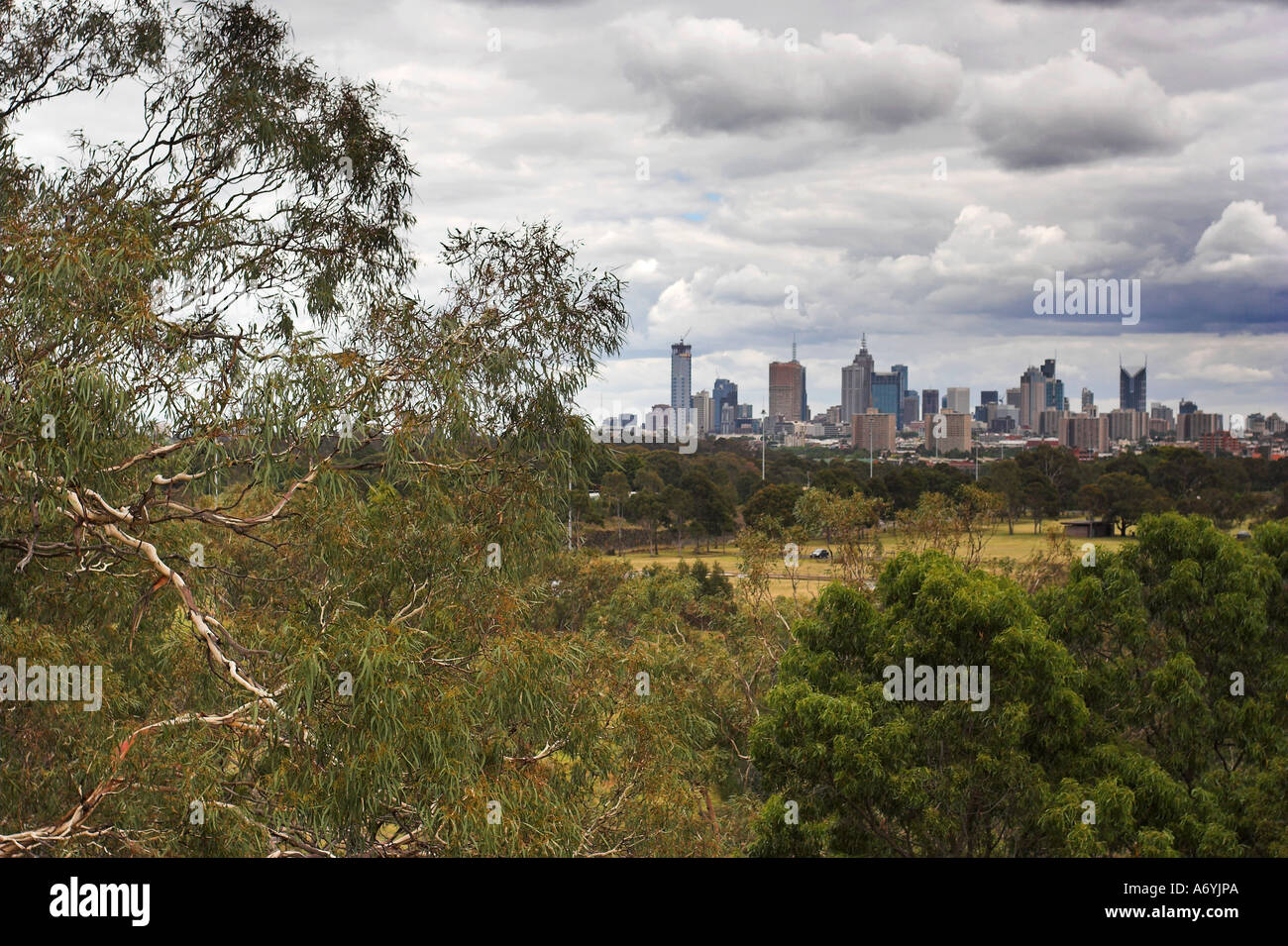 Landscape format image of Melbourne CBD from a distance with moody ...