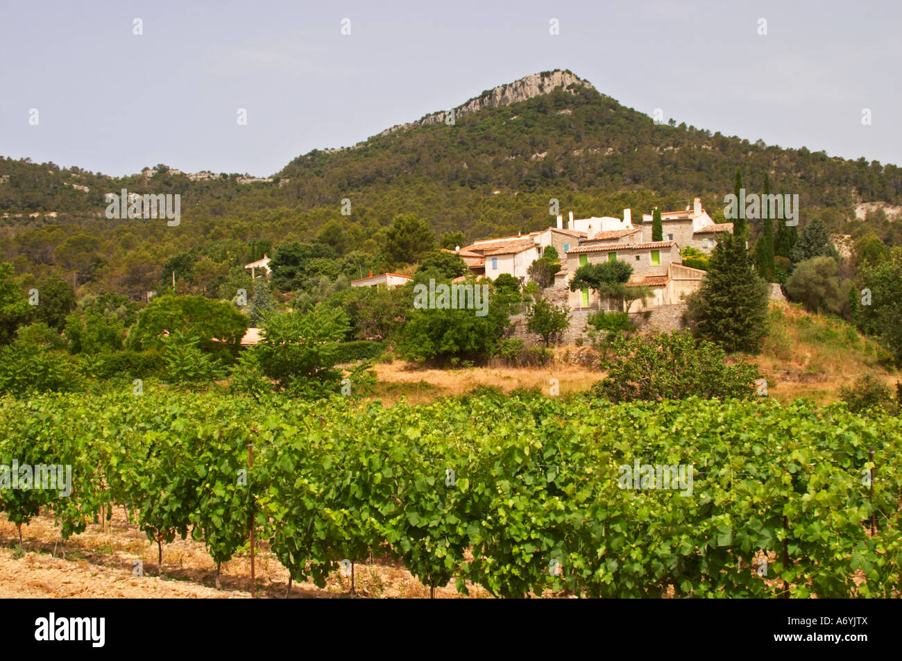 Saint lauret hi-res stock photography and images - Alamy