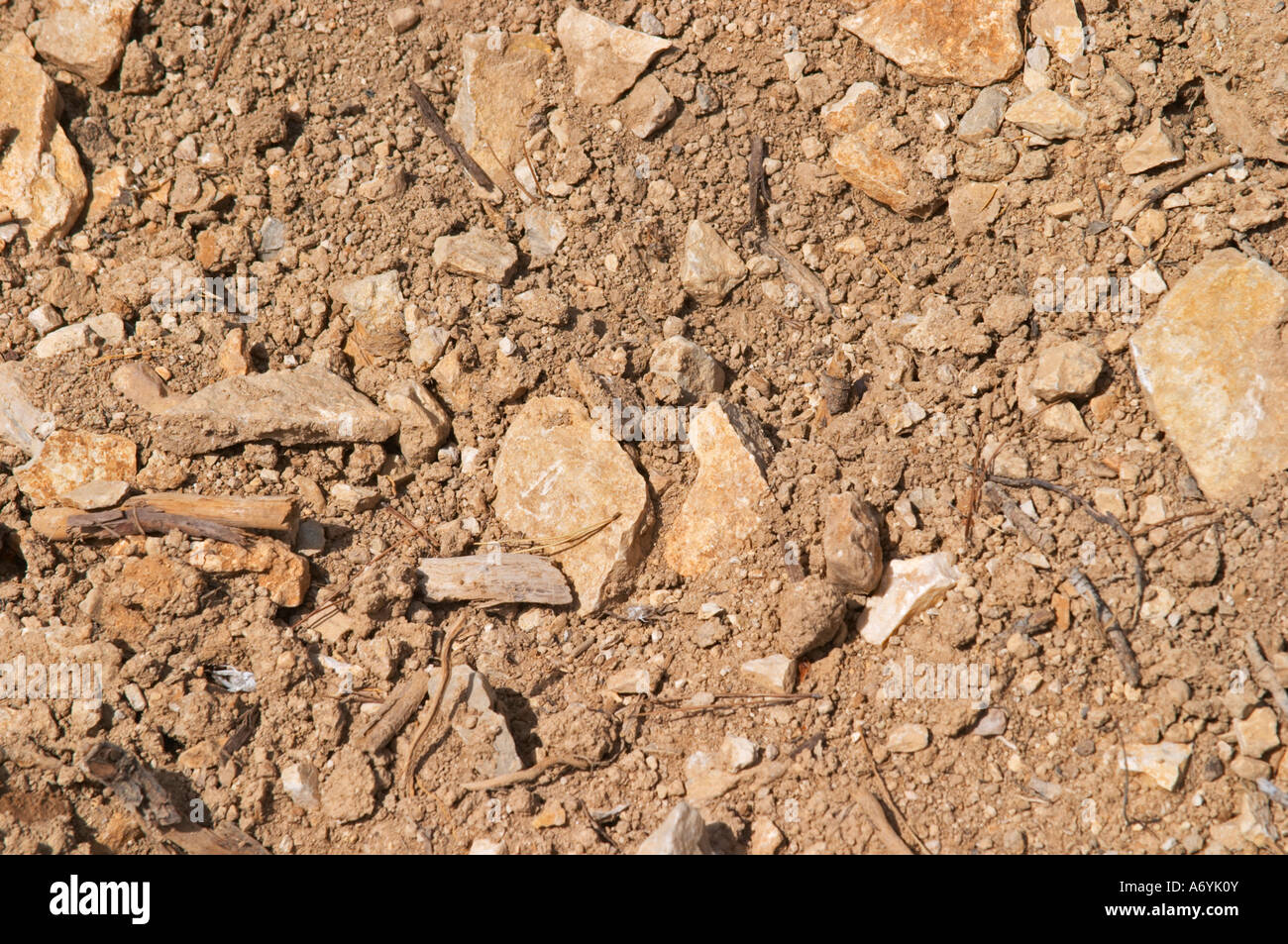 Calcareous Sandy Soil High Resolution Stock Photography and Images - Alamy