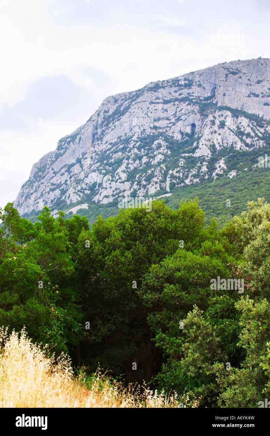 The Pic St Loup mountain top peak. Pic St Loup. Languedoc. Garrigue ...
