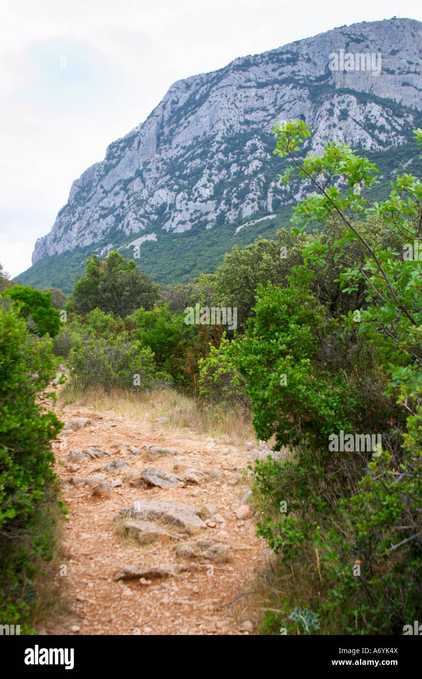 The Pic St Loup mountain top peak. Pic St Loup. Languedoc. Garrigue ...