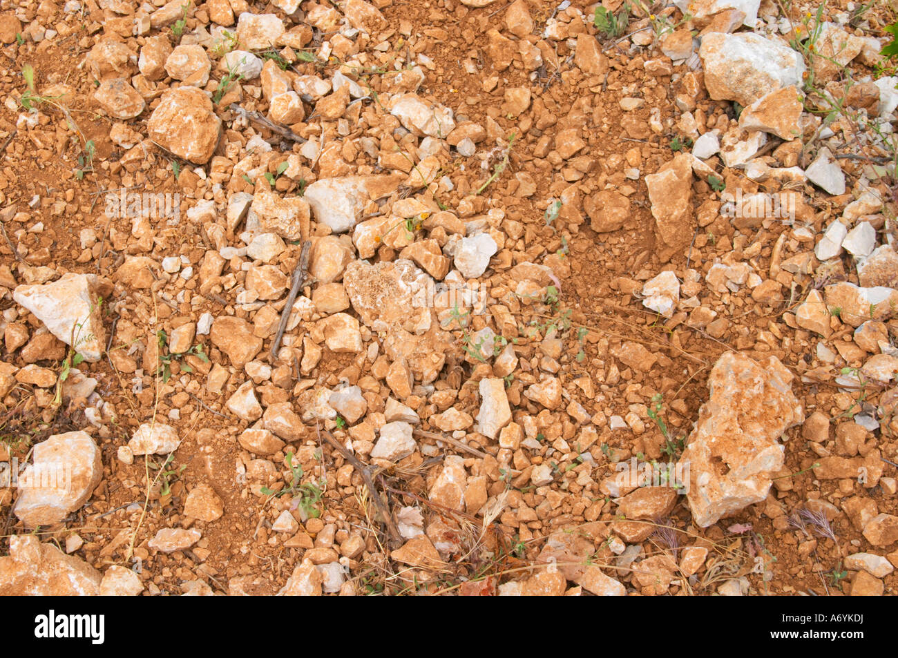 Domaine d'Aupilhac. Montpeyroux. Languedoc. Terroir soil. France ...