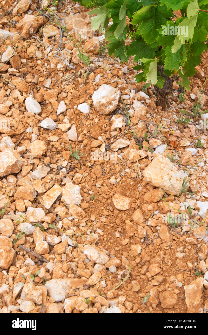Domaine d'Aupilhac. Montpeyroux. Languedoc. Terroir soil. France ...