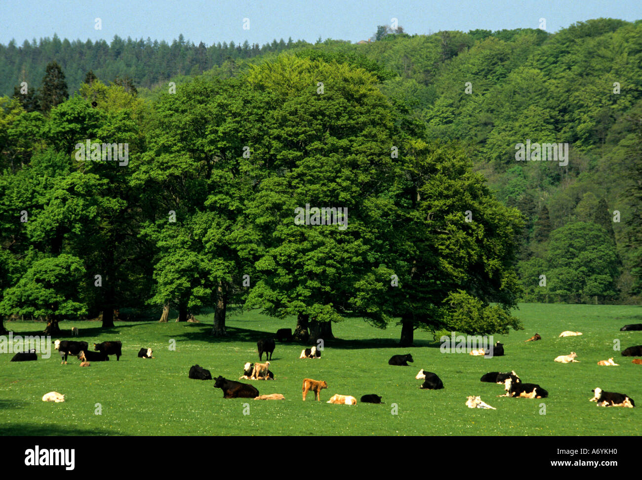 England farming hi-res stock photography and images - Alamy