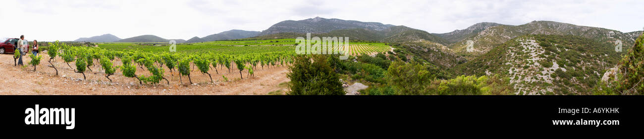 Alain Caujolle-Gazet Domaine des Grecaux in St Jean de Fos. Montpeyroux ...