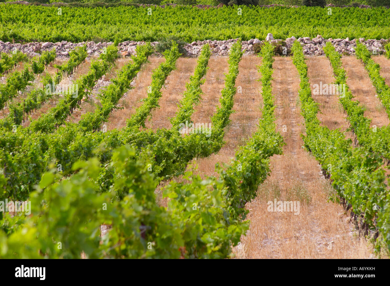 Rendzine hi-res stock photography and images - Alamy