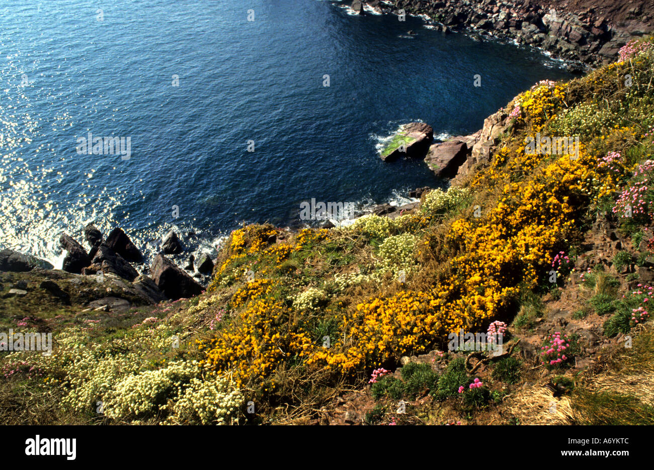 The cleddau estuary, pembrokeshire hi-res stock photography and images ...