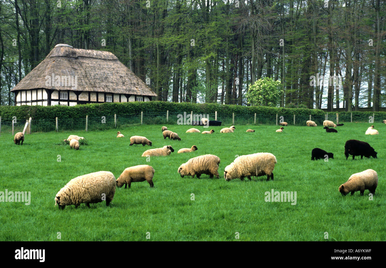 Whelsh hi-res stock photography and images - Alamy