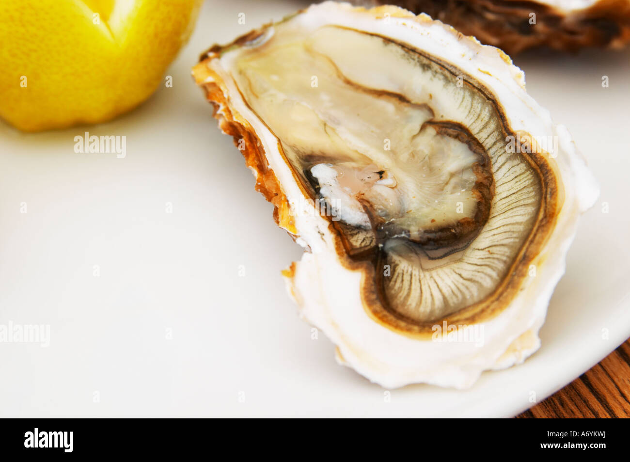 Oyster at a restaurant in Bouzigues in Languedoc Bouzigues Languedoc ...