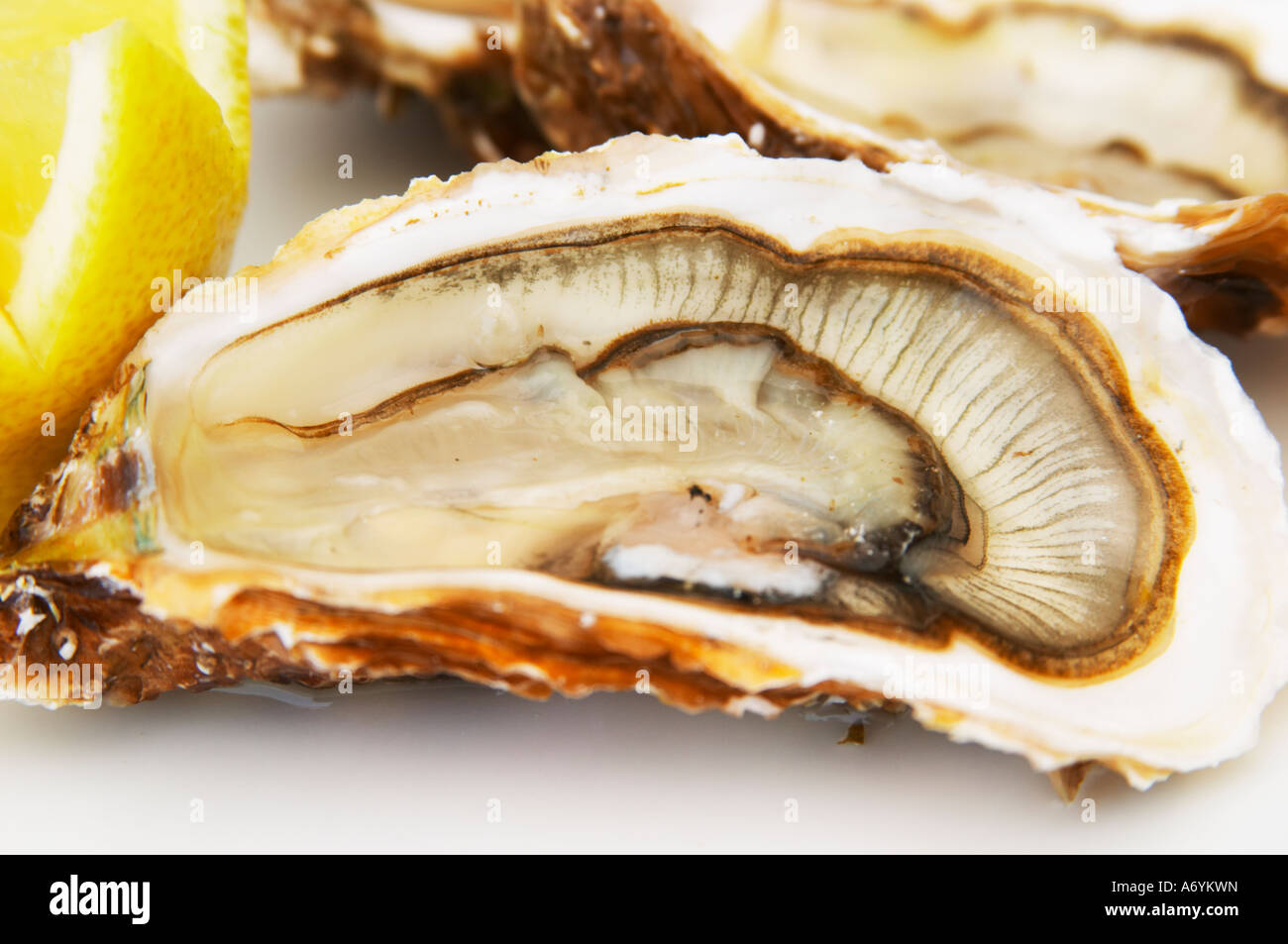 Bouzigues Languedoc. Oyster on half shell with lemon. France. Europe ...