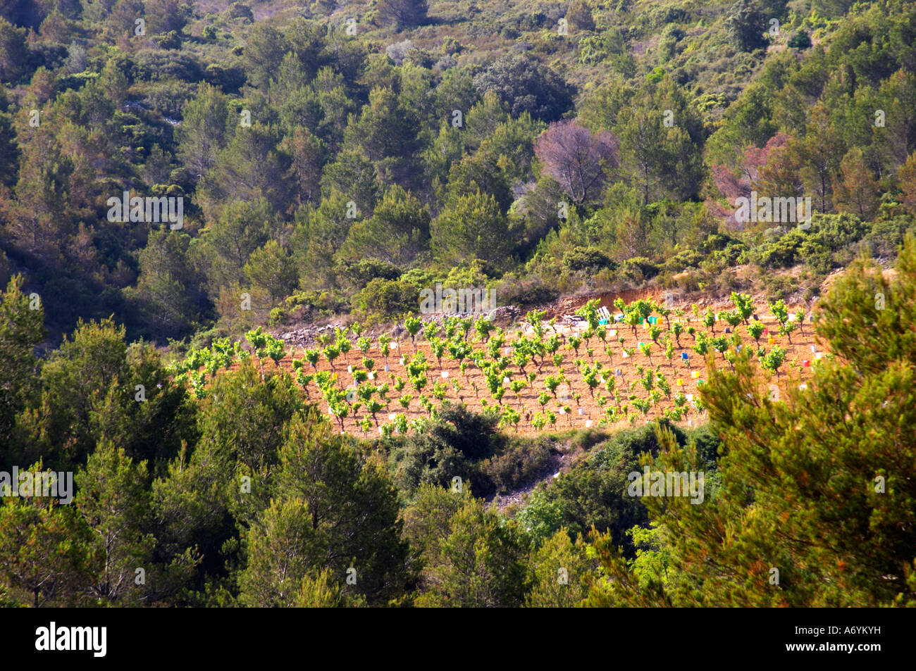 Saint pargoire hi-res stock photography and images - Alamy