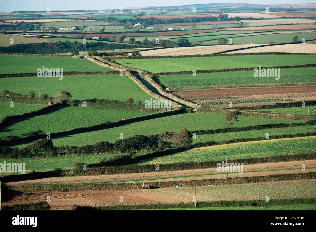 Fields near St Austell Cornwall England United Kingdom Europe Stock ...