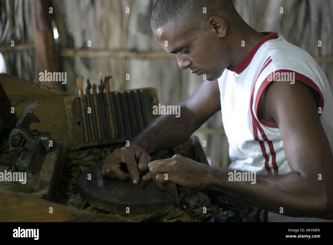A cigar maker rolling handmade cigars Stock Photo - Alamy
