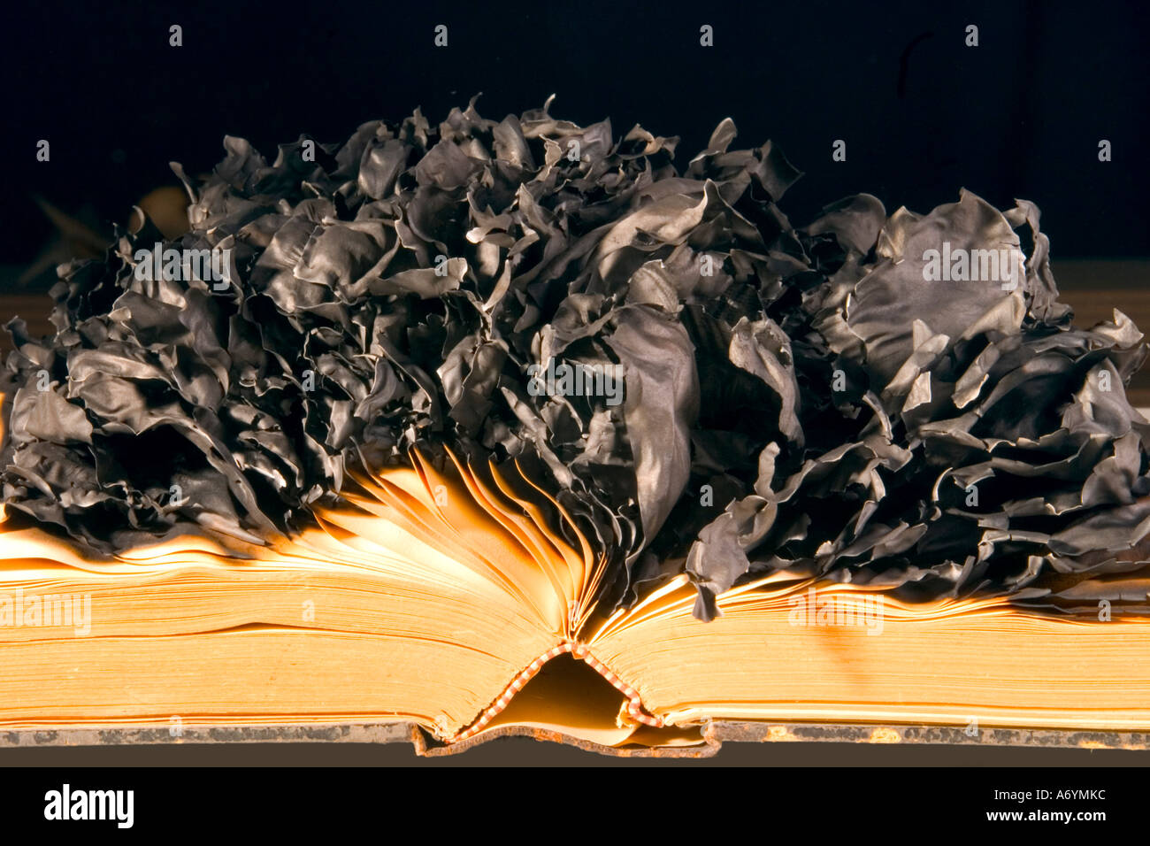 Burning old book Stock Photo - Alamy