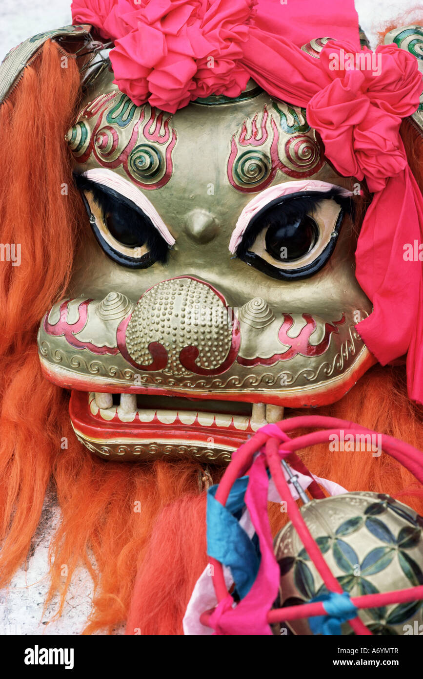 Mask lion animal in hi-res stock photography and images - Alamy