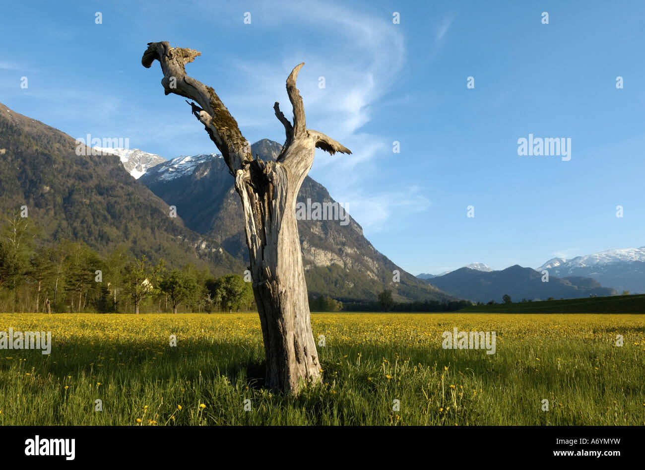 A beautiful spring afternoon near the village of Triesen, Liechtenstein ...