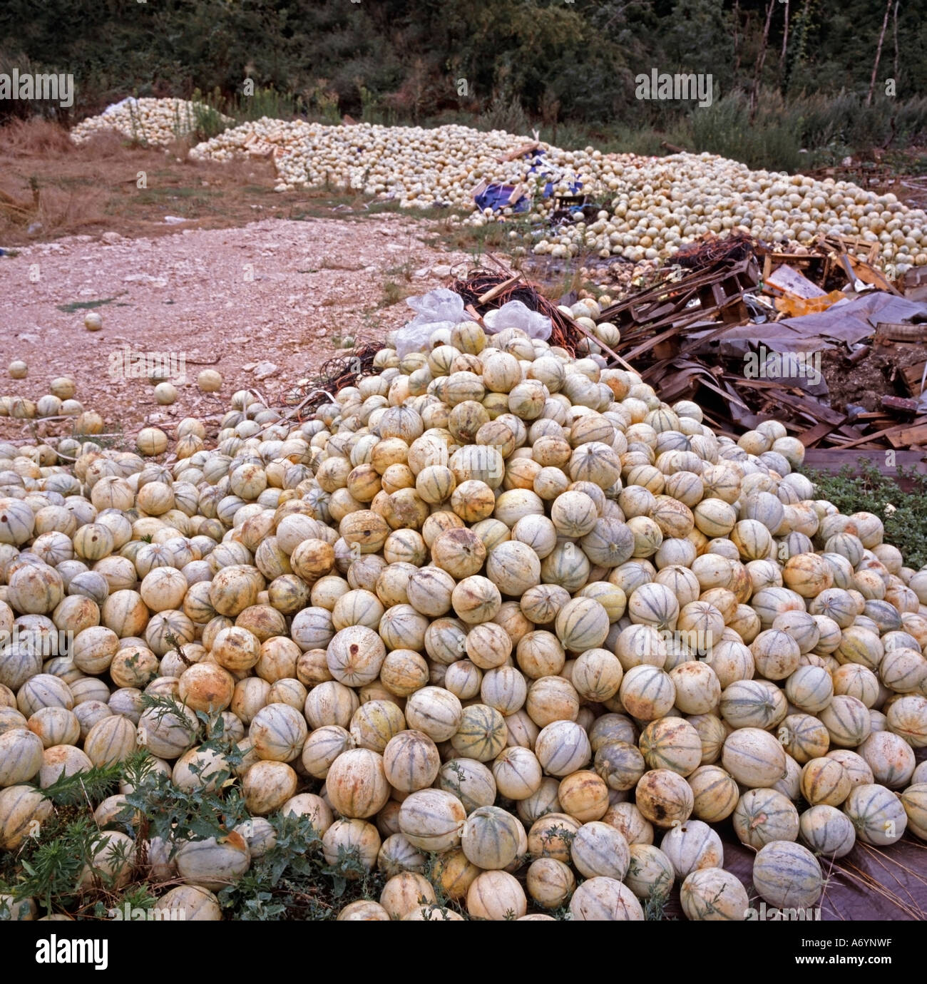 Overproduction hi-res stock photography and images - Alamy