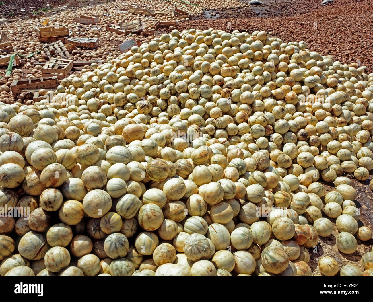 Overproduction hi-res stock photography and images - Alamy